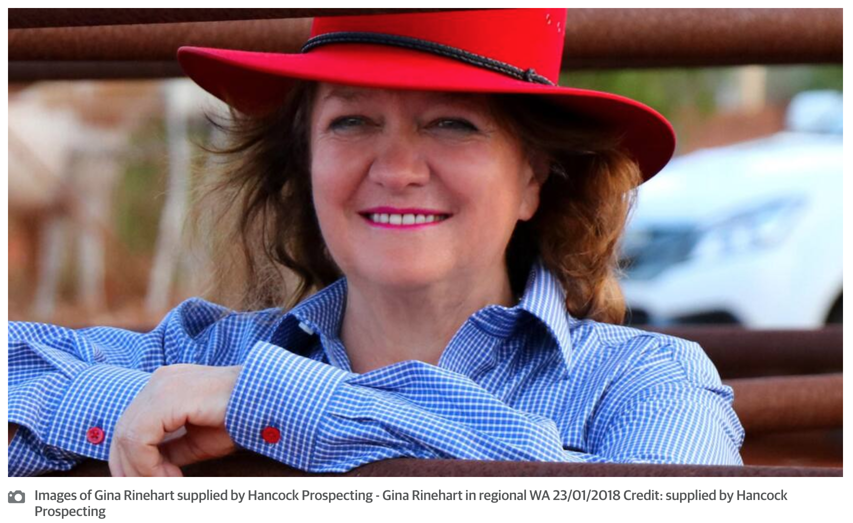 Coronavirus crisis: WA mining magnate Gina Rinehart calls for greater ...